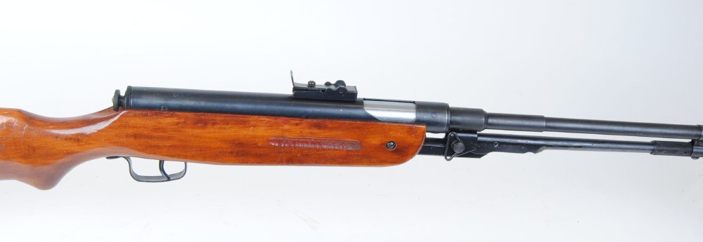 .22 Lion Brand, under lever air rifle with open sights and sling swivels