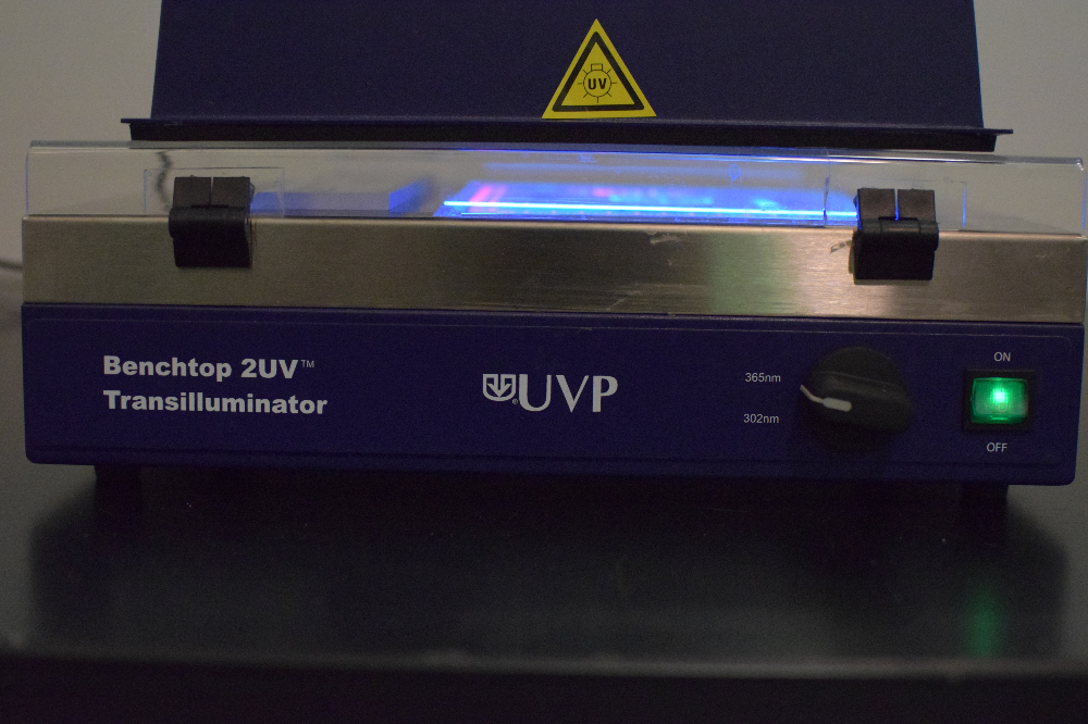 UVP Benchtop 2UV Transilluminator provides the selection of longwave ...