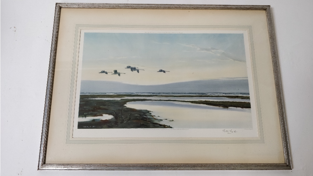 A signed print of geese in flight, by Peter Scott, signed lower left ...