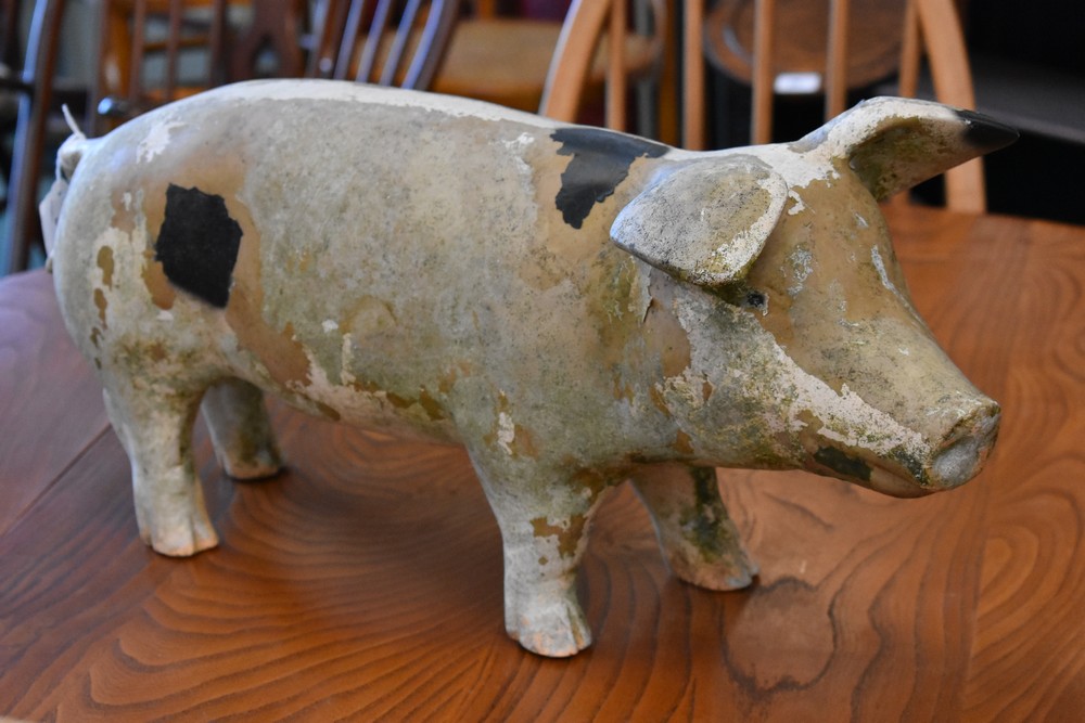 A Butchers Shop window display pig
