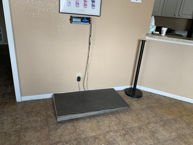 Walk On Pet Scale, 550lbs Capacity, by Jorvet, Model: J825Q