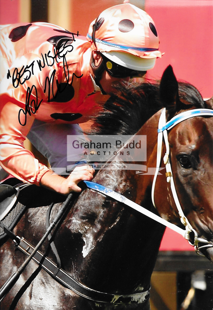 Champion Australian Racehorses / Melbourne Cup winners photographs ...