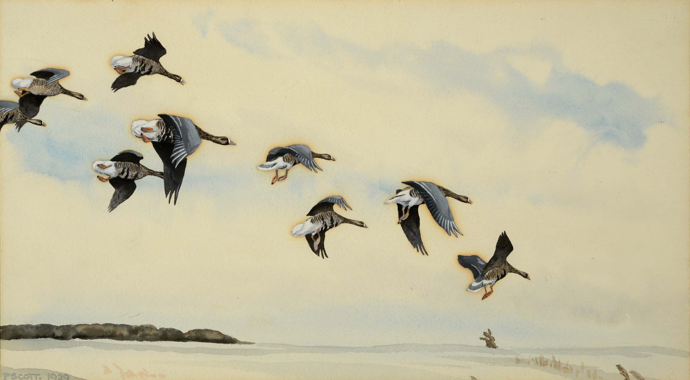 •SIR PETER SCOTT (1909-1989) WHITE-FRONTED GEESE DROPPING INTO THE ...