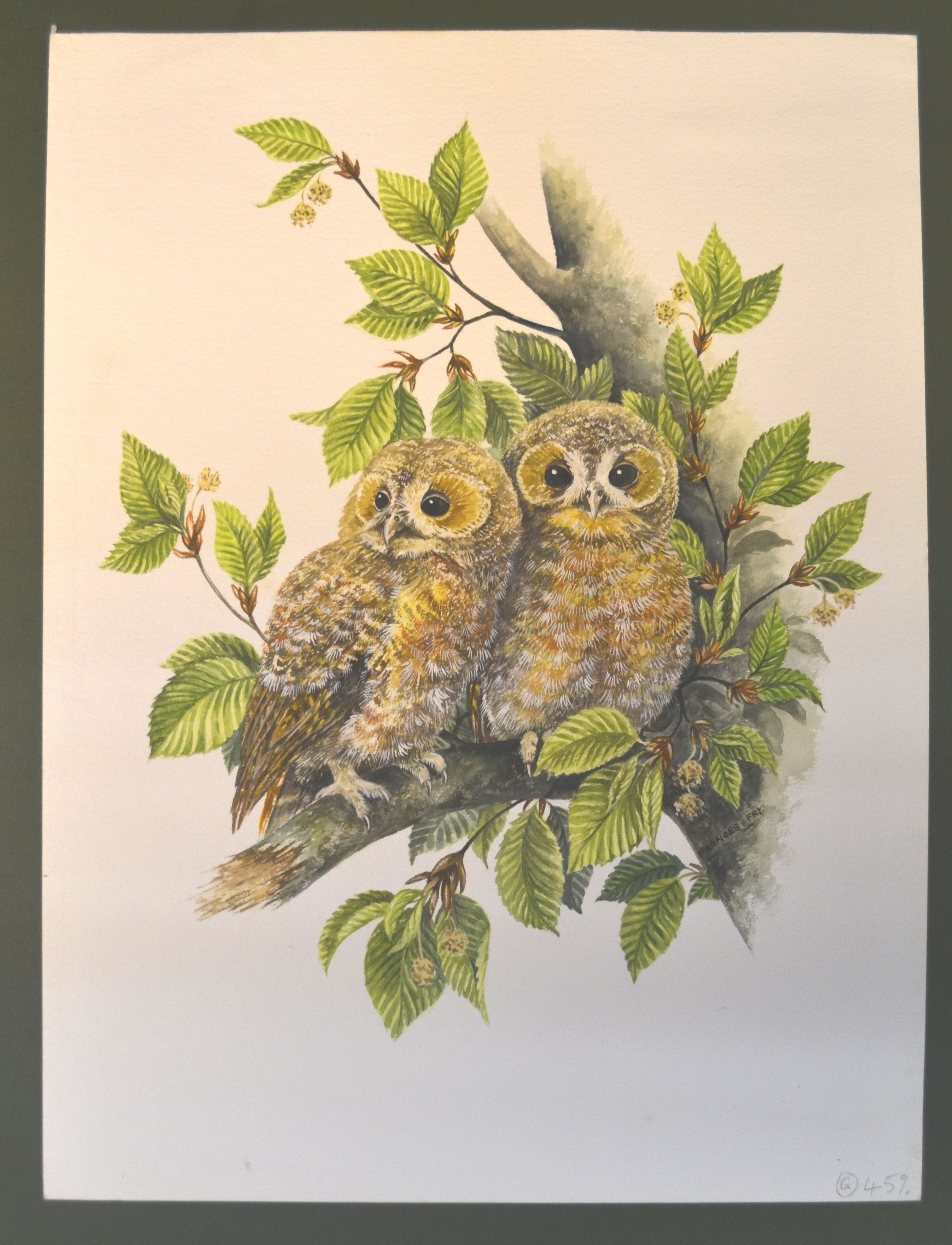 An exceptional portfolio of artist Frances Fry ( 20th century ...