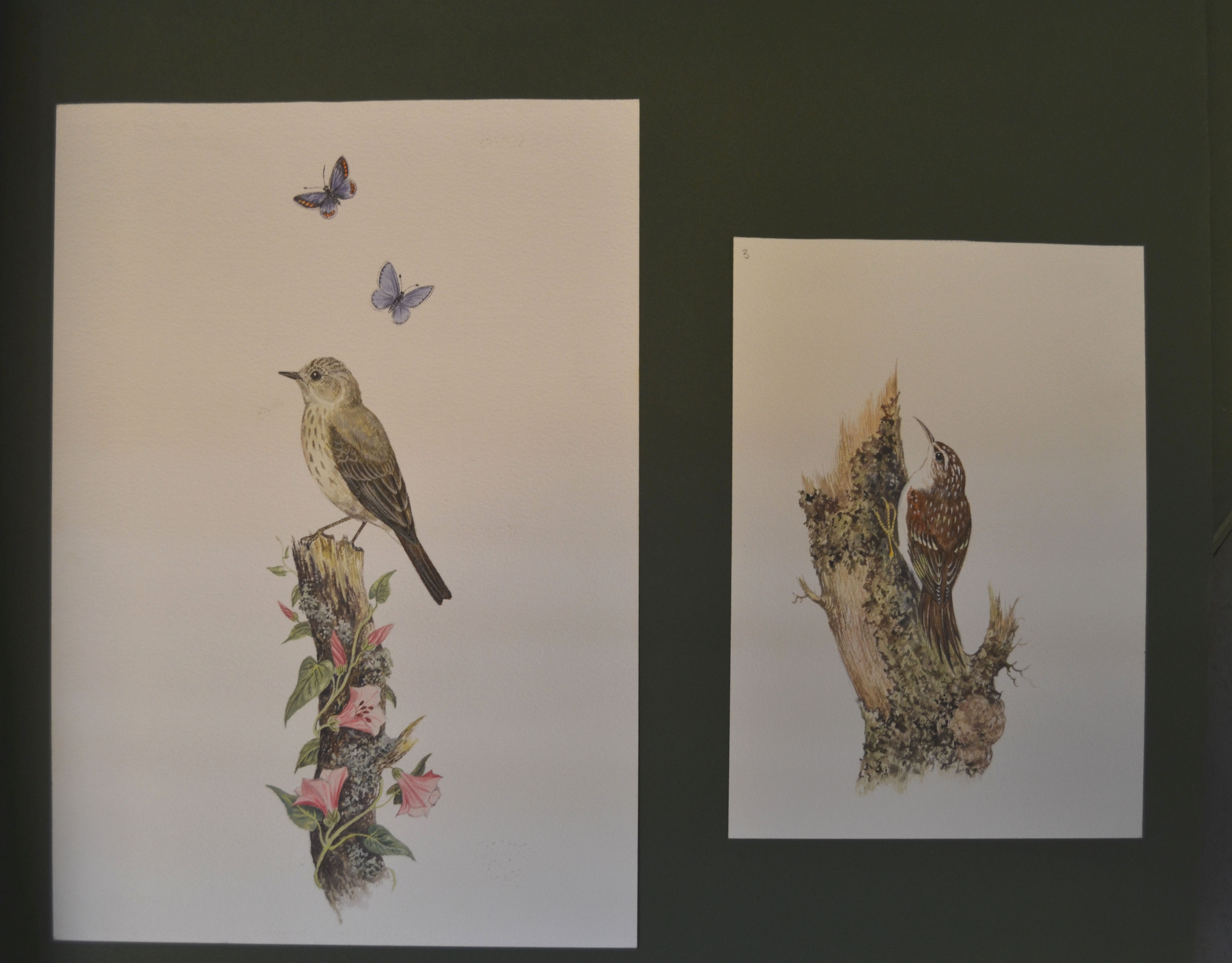 An exceptional portfolio of artist Frances Fry ( 20th century ...