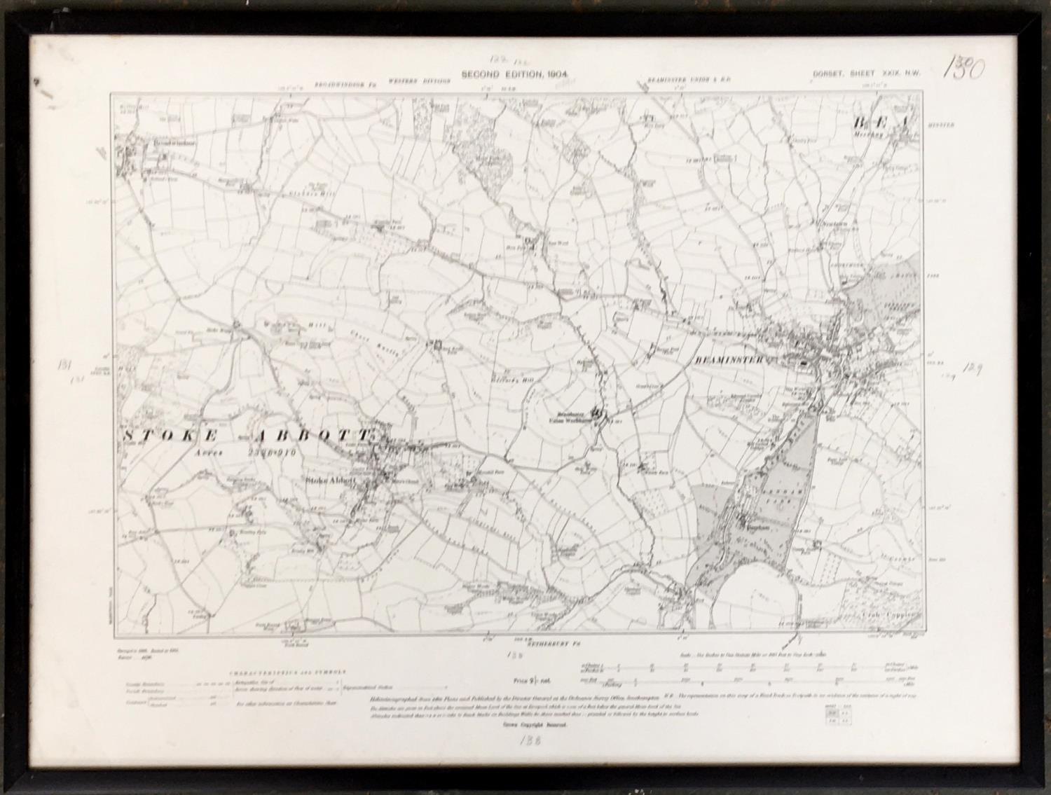 Local interest: 1904 Ordnance Survey map of the Beaminster area (sheet ...