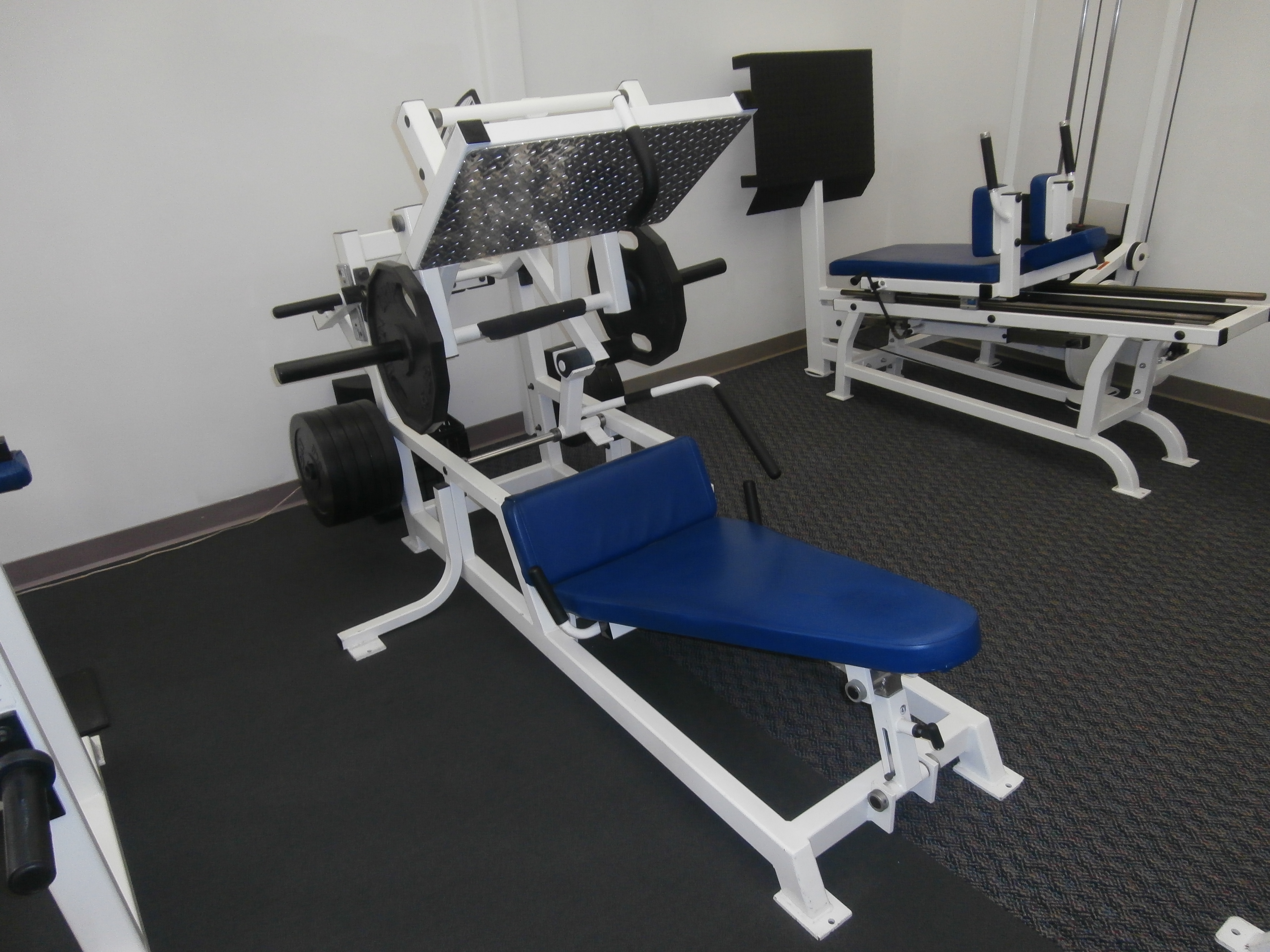 PLATE LOADED LEG PRESS, STRIVE