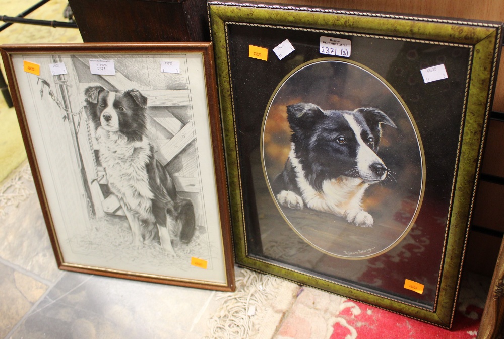 Three framed Pollyanna Pickering prints, all three of 'Border Collie ...