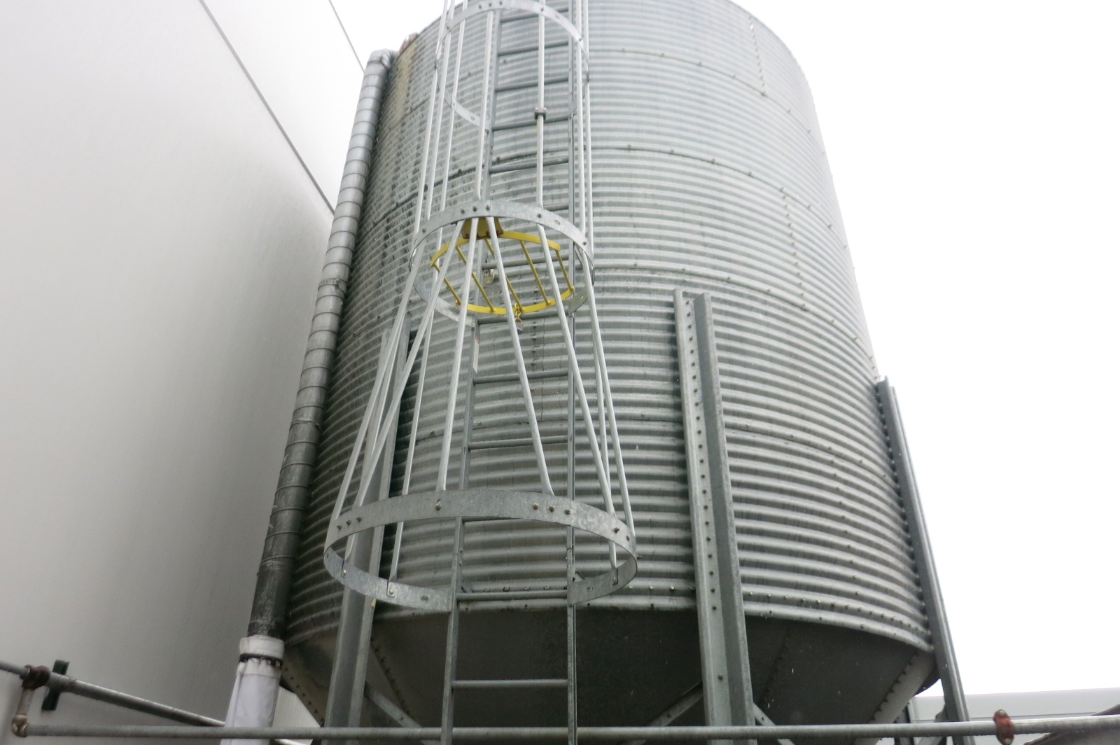 48,000 lbs. cap. Grain Silo, 8' d x 13' h straight x 6' cone with 7 ...