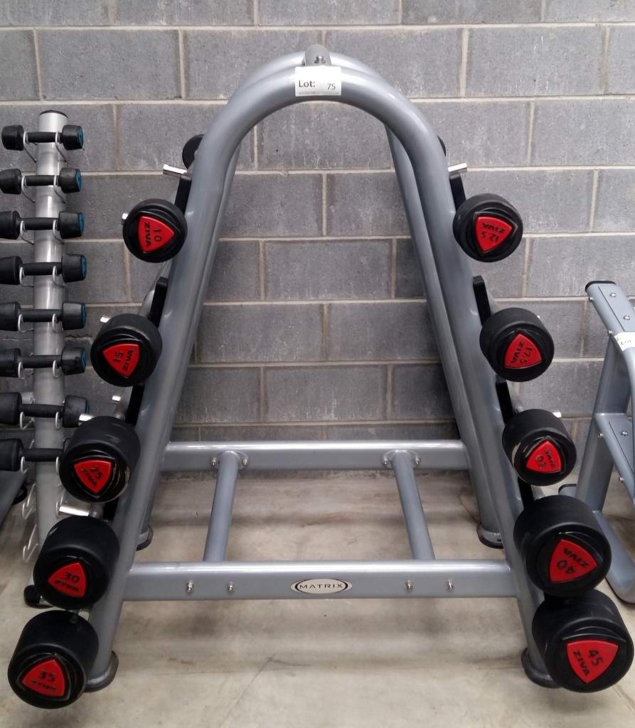 Ziva ZVO 10 piece barbell set (10kg-45kg) and Matrix G3-FW96 barbell ...