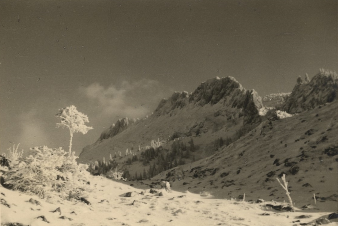 ZEITZLER KURT: (1895-1963) German General of World War II, Chief of the ...