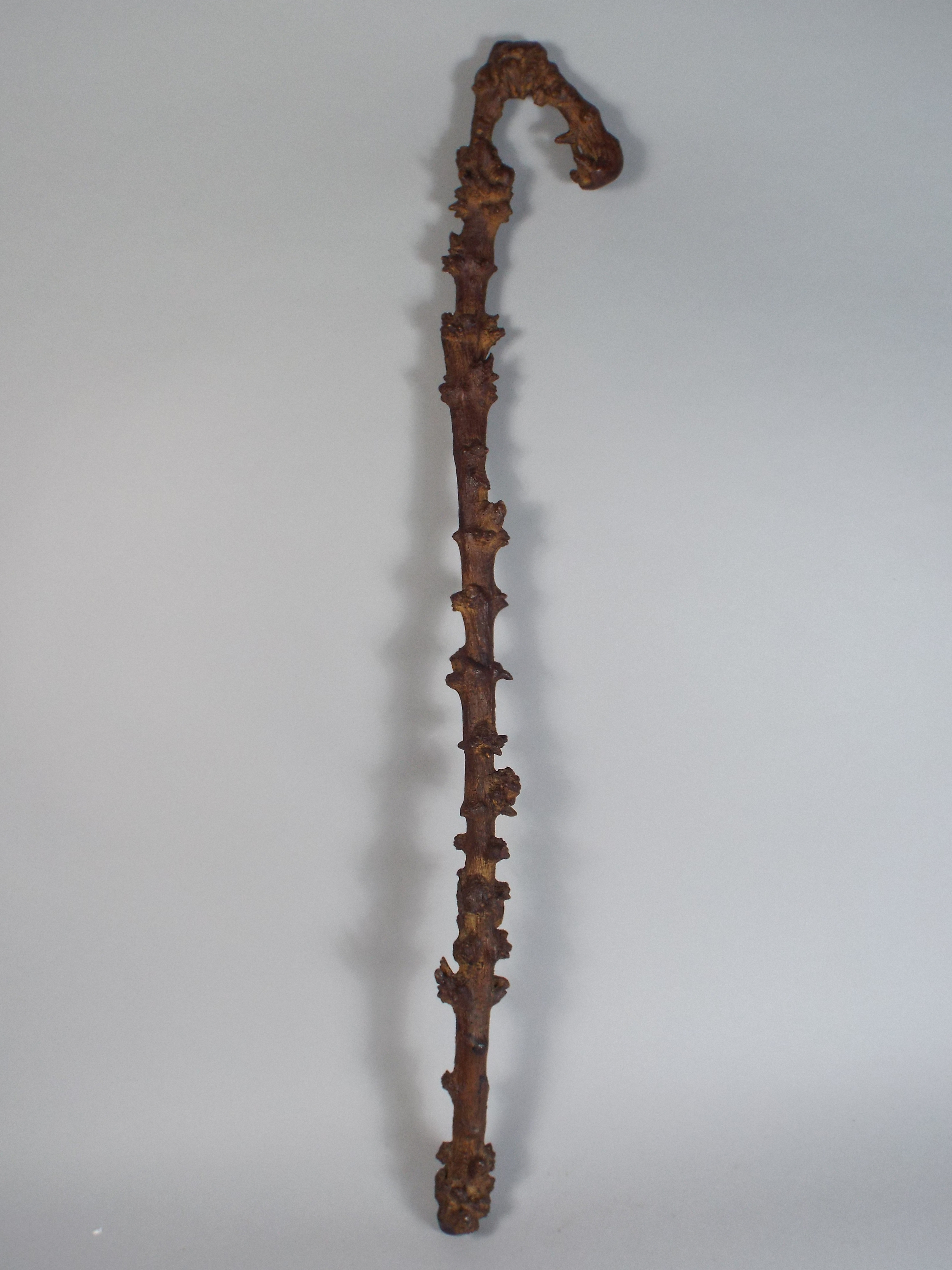 A 19th Century Rustic Walking Stick Made from Gnarled and Twisted Wood.