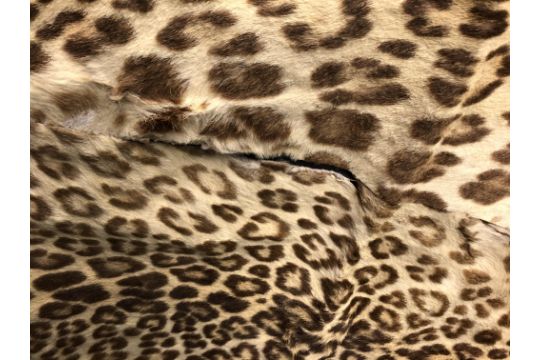 TWO LEOPARD HIDE BACKED SKINS