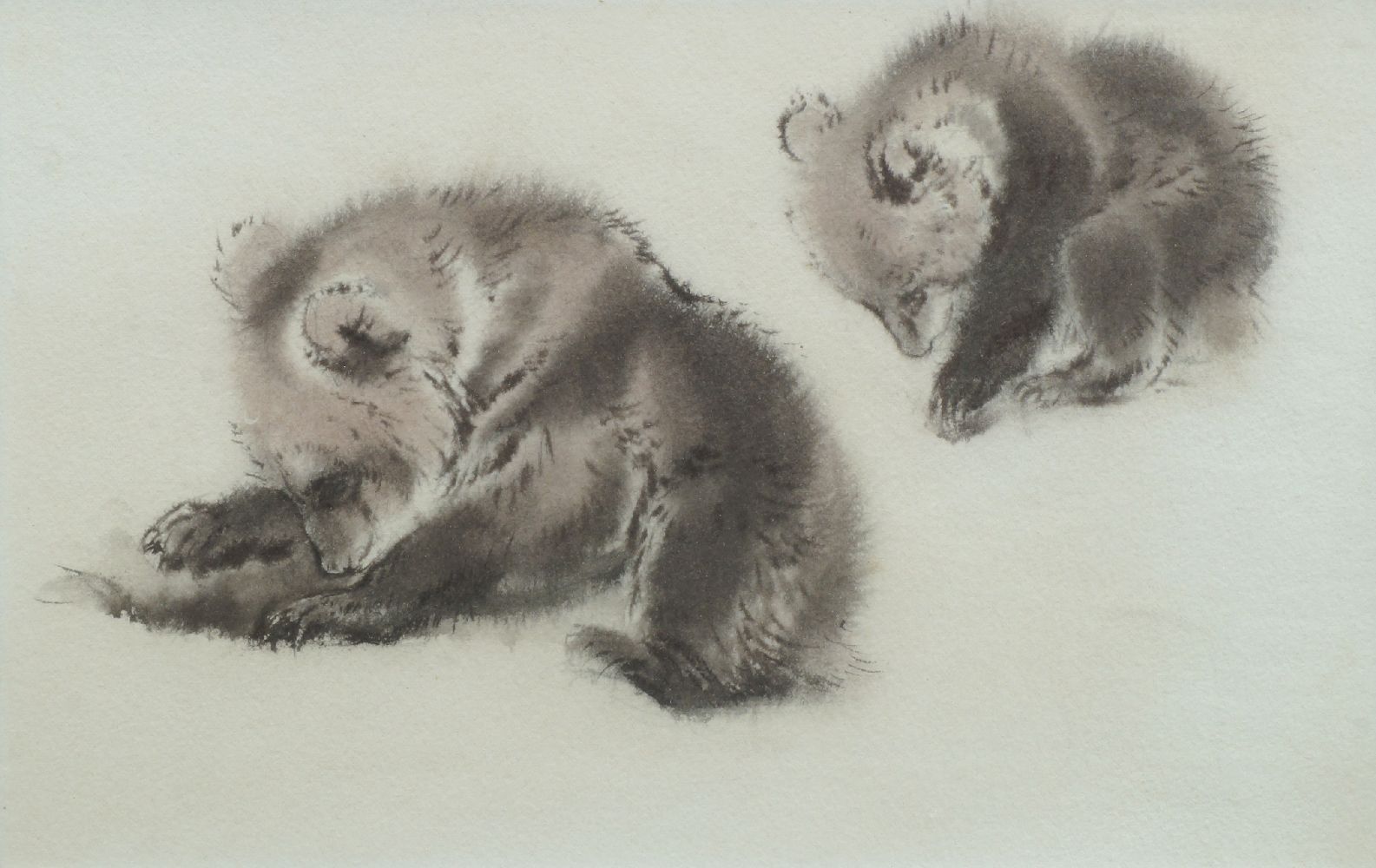 Ralph Thompson, British 1913- 2009- Brown bear cub studies ...