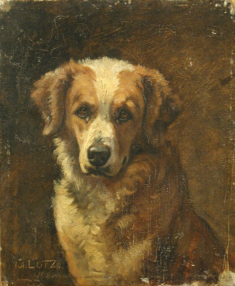 Matilda Lotz (American, 1858-1923) Study of a retriever signed lower ...