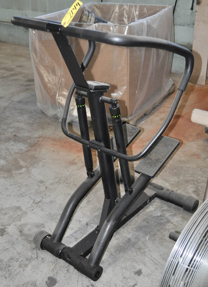 SCHWINN MDL. # PT301 STAIR STEPPER