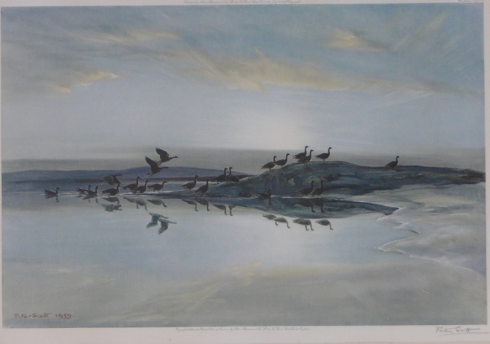 Sir Peter Scott,3 colour prints, ducks in flight, all signed in pencil ...