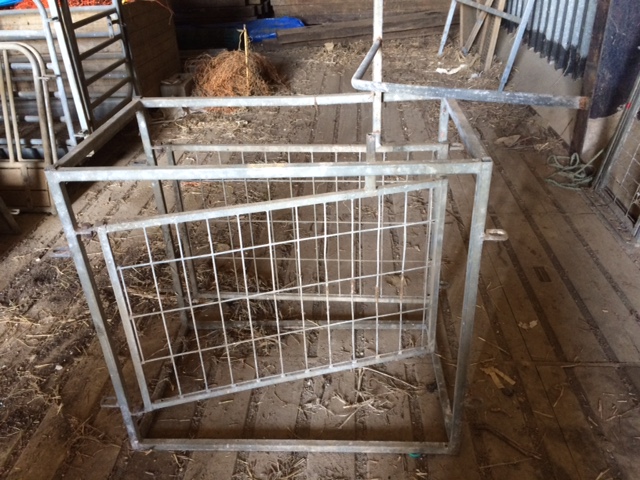 Three Way Sheep Drafting Gate. Location Kings Lynn, Norfolk.