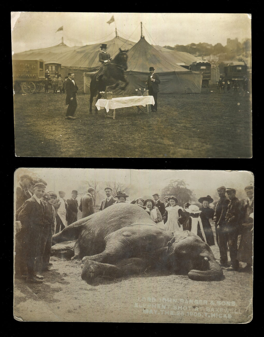 A collection of 11 postcards of circus performers, all relating to Lord ...