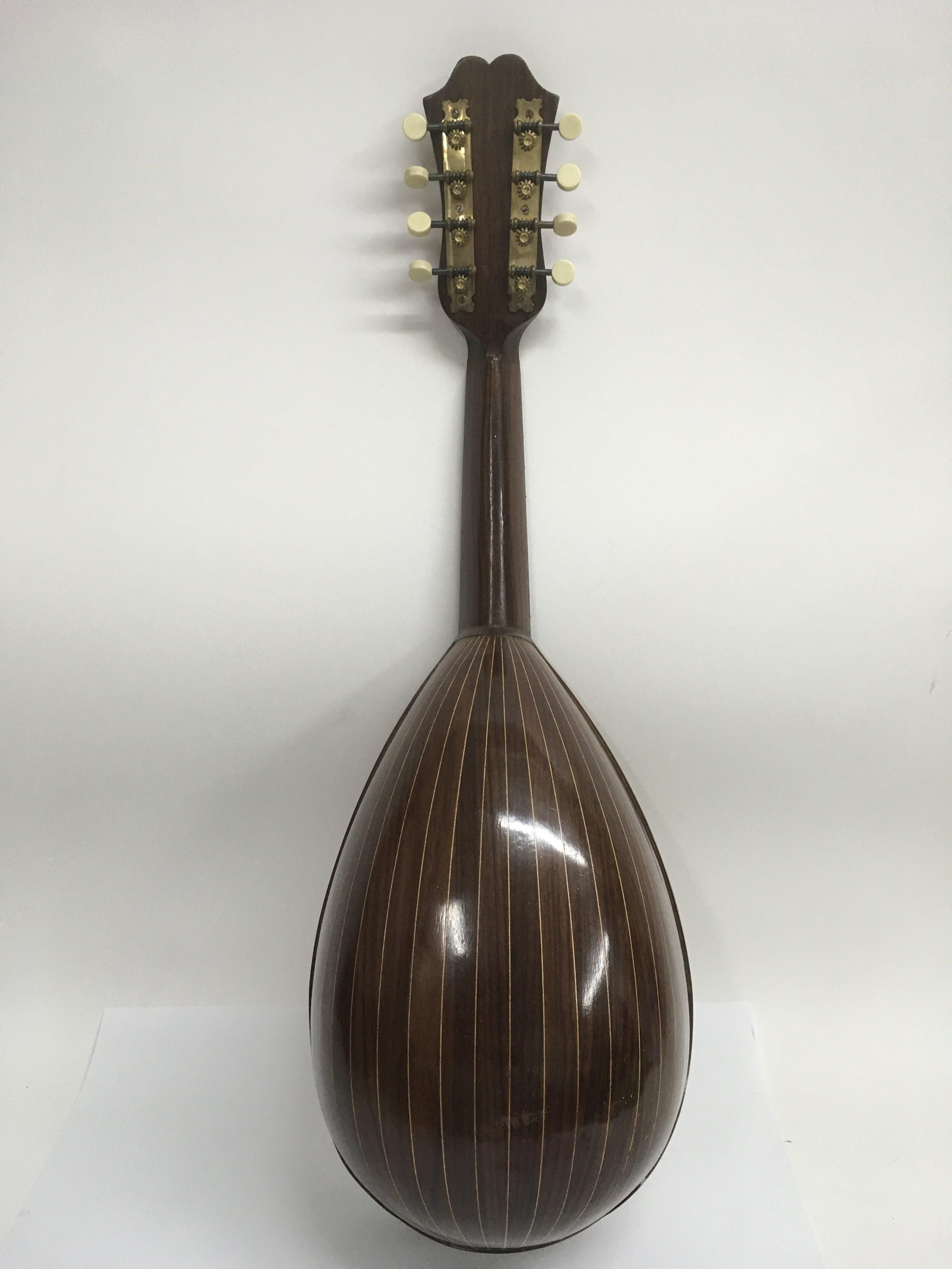 A cased mandolin by Francesco Perretti & Figli of Napoli.