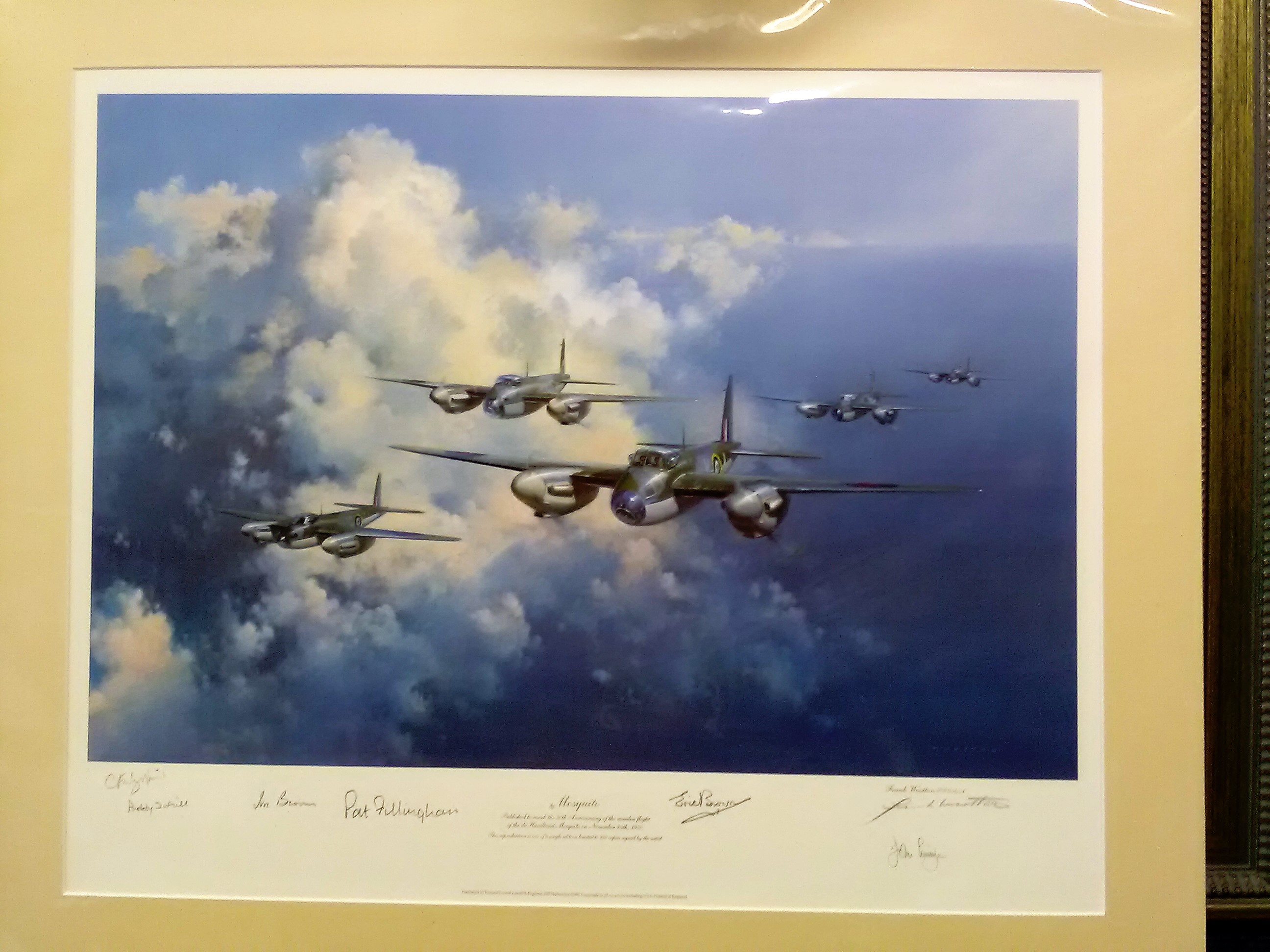 Mosquito by Frank Wootton Print. Signed by Frank Wootton OBE, John ...