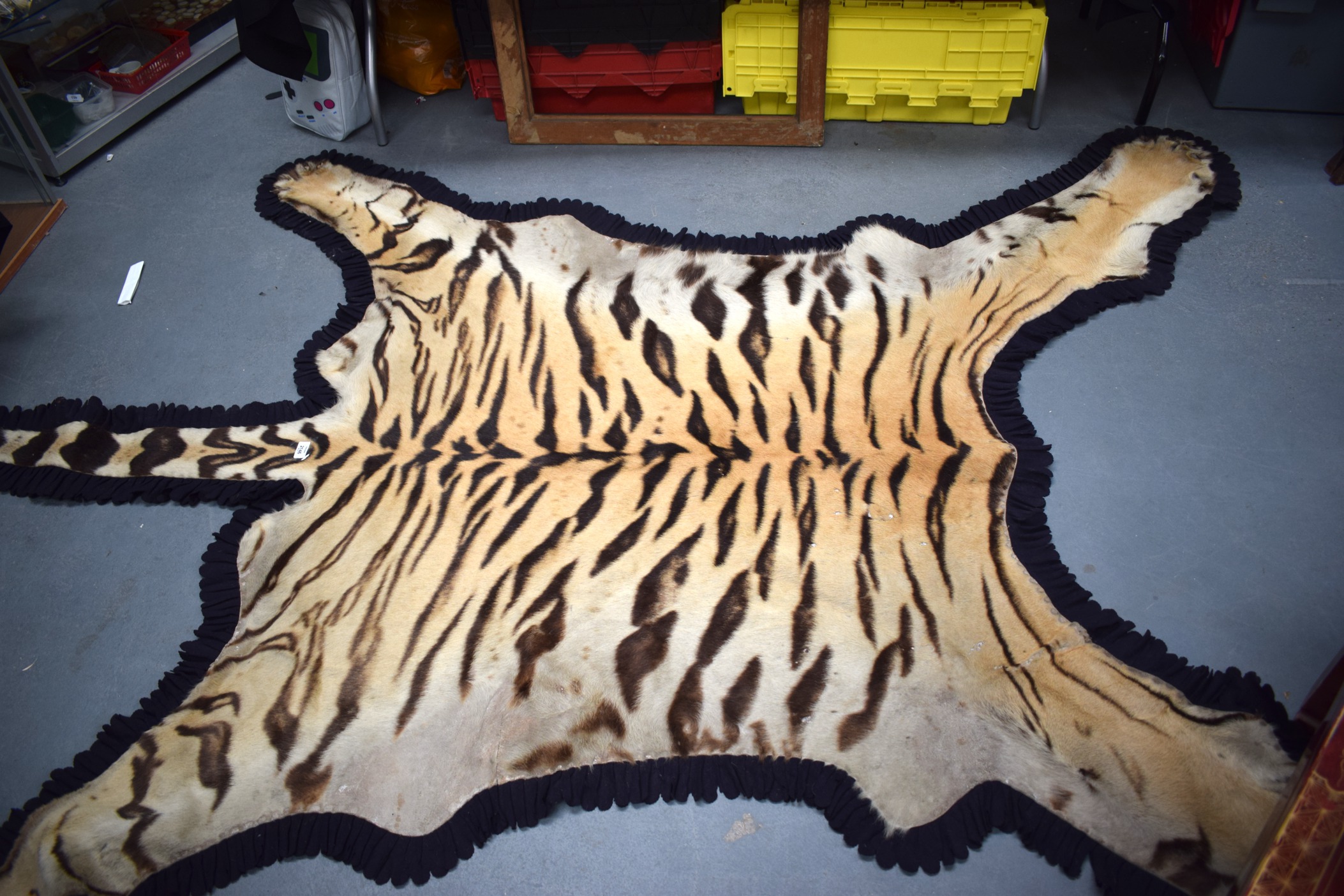 AN EARLY 20TH CENTURY TAXIDERMY TIGER SKIN RUG. 210 cm wide. 190cm Head ...