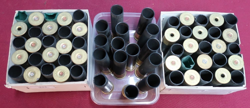65 Remington Industrial 8 bore shotgun cartridge cases