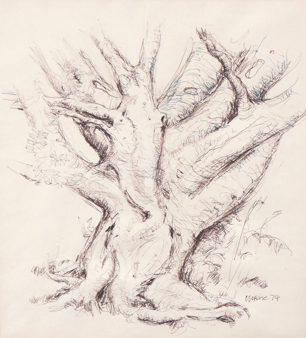 HERBERT WHONE Tree study, pen and ink, signed and dated 74, 40.5cm x 33cm