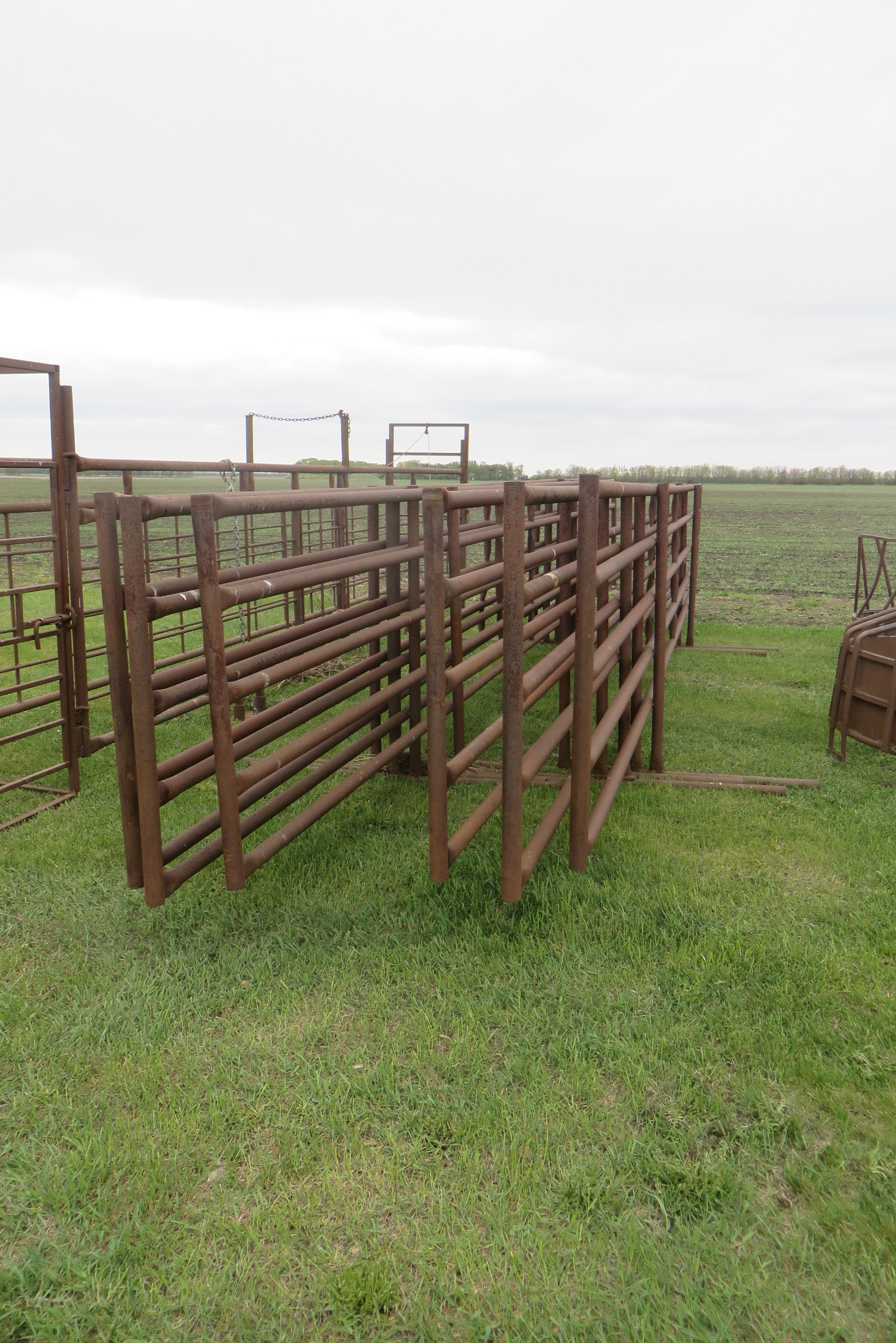 Free standing 30ft corral panels (Choice)
