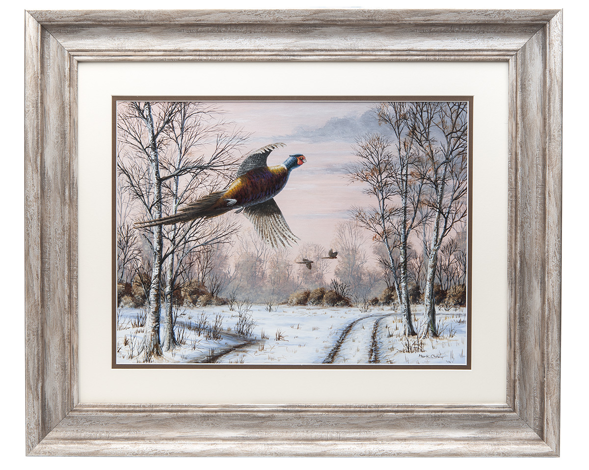 MARK CHESTER (F.W.A.S.) ''THROUGH THE TREES - PHEASANTS'' an original ...