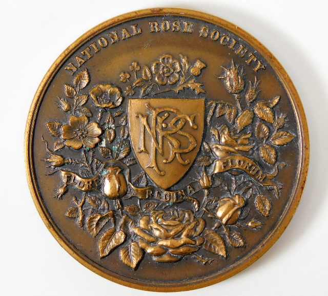 A bronze medal for the National Rose Society