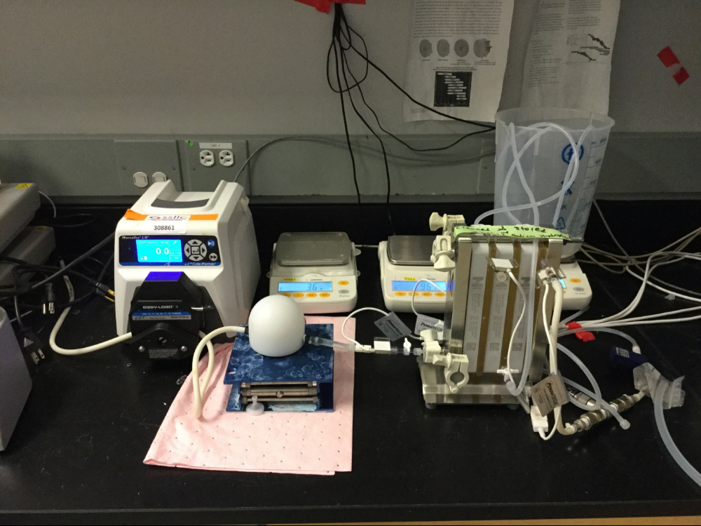 Millipore Pellicon TFF System with Cole Parmer Digital Console Drive ...