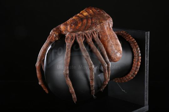 A special effects facehugger from Ridley Scott's sci-fi horror Alien ...