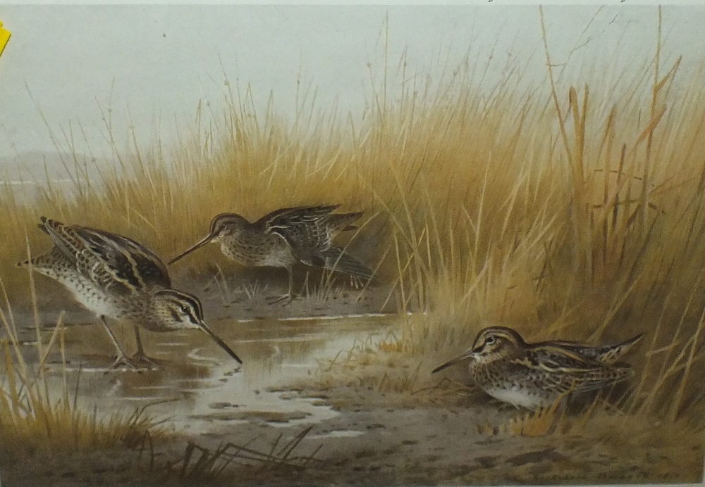 ARCHIBALD THORBURN (1860-1935). A set of three signed prints of game ...