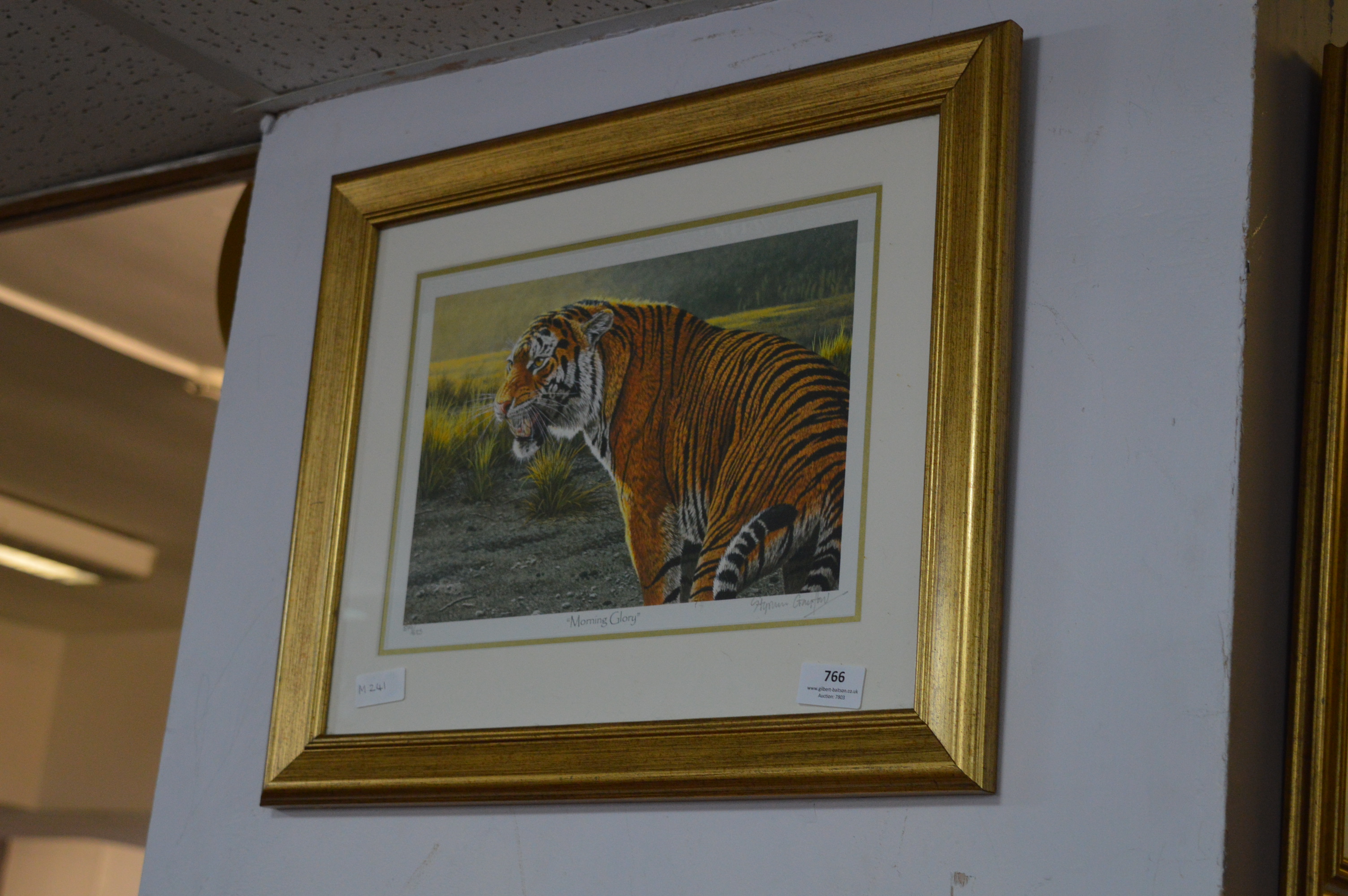 Stephen Gayford Limited Edition Print "Morning Glory Tiger"