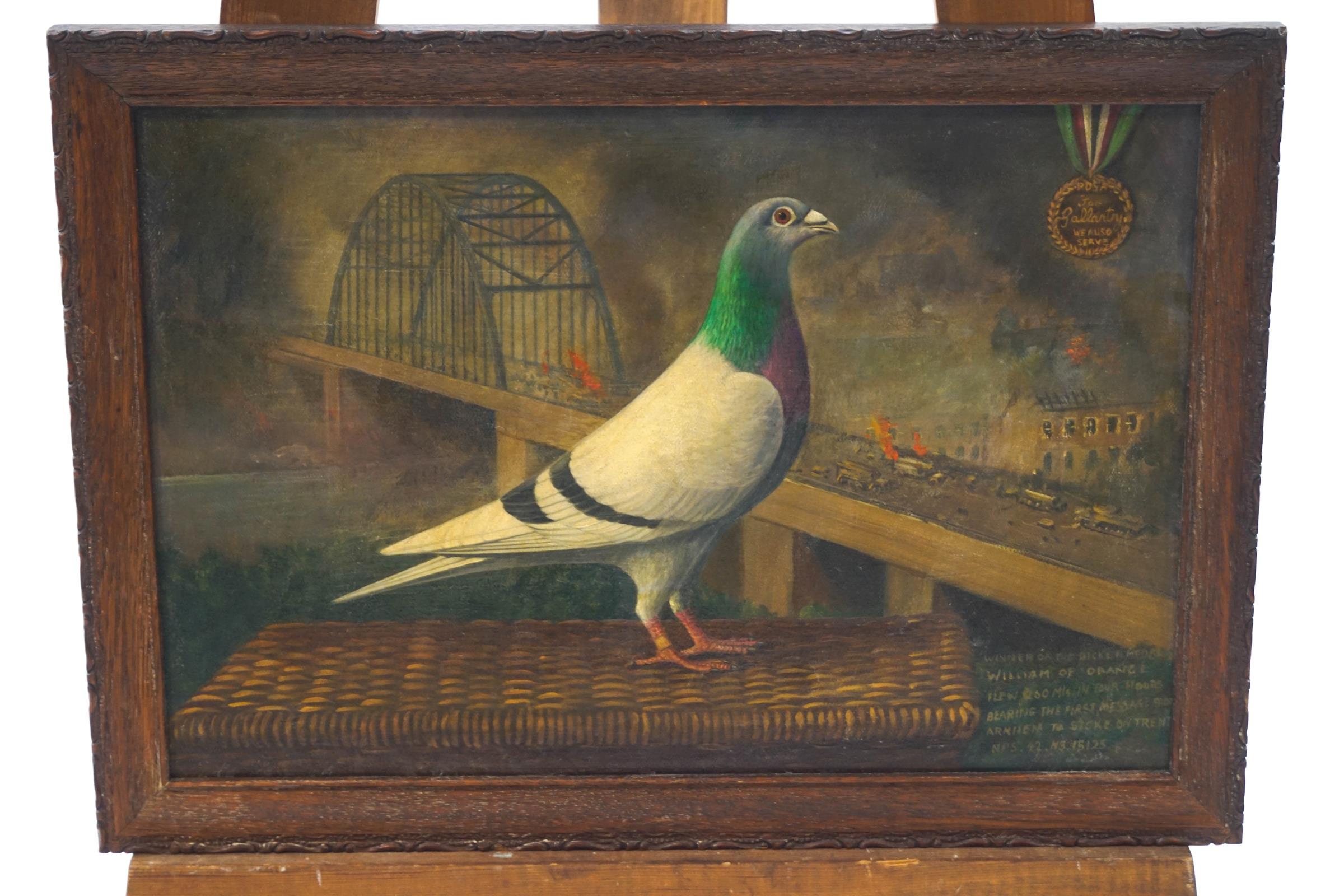 Early 20th century, The Racing Pigeon 'William of Orange', winner of ...