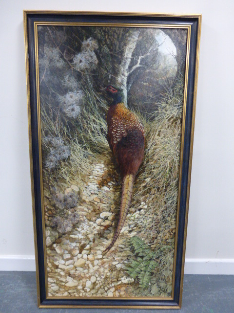 Ken Turner, British local artist, (b.1926) Study of a Pheasant in ...
