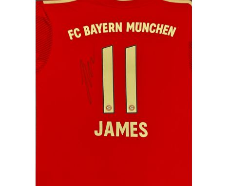 football shirt Auctions Prices | football shirt Guide Prices