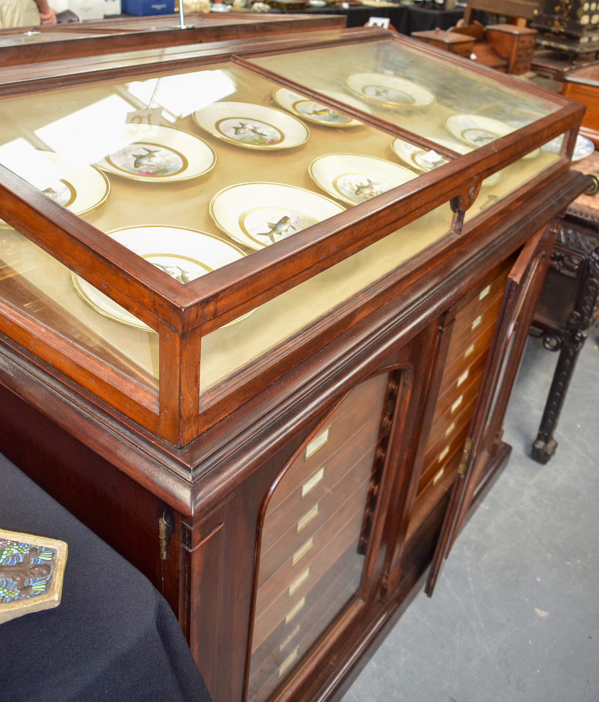 A FINE LARGE PAIR OF ANTIQUE MUSEUM DISPLAY CASES with rising tops and ...