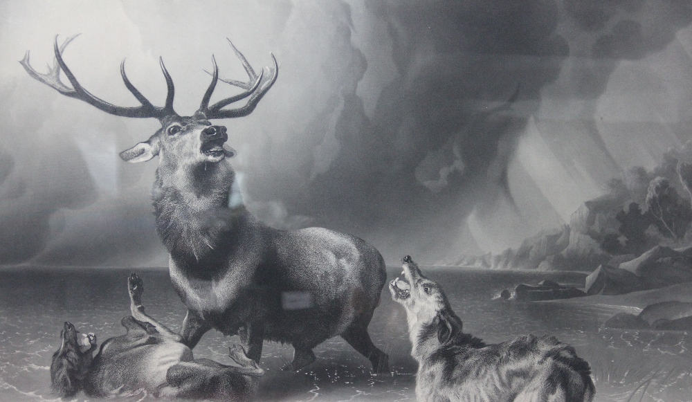 Thomas Landseer after Edwin Landseer, steel engraving, The Stag at Bay ...