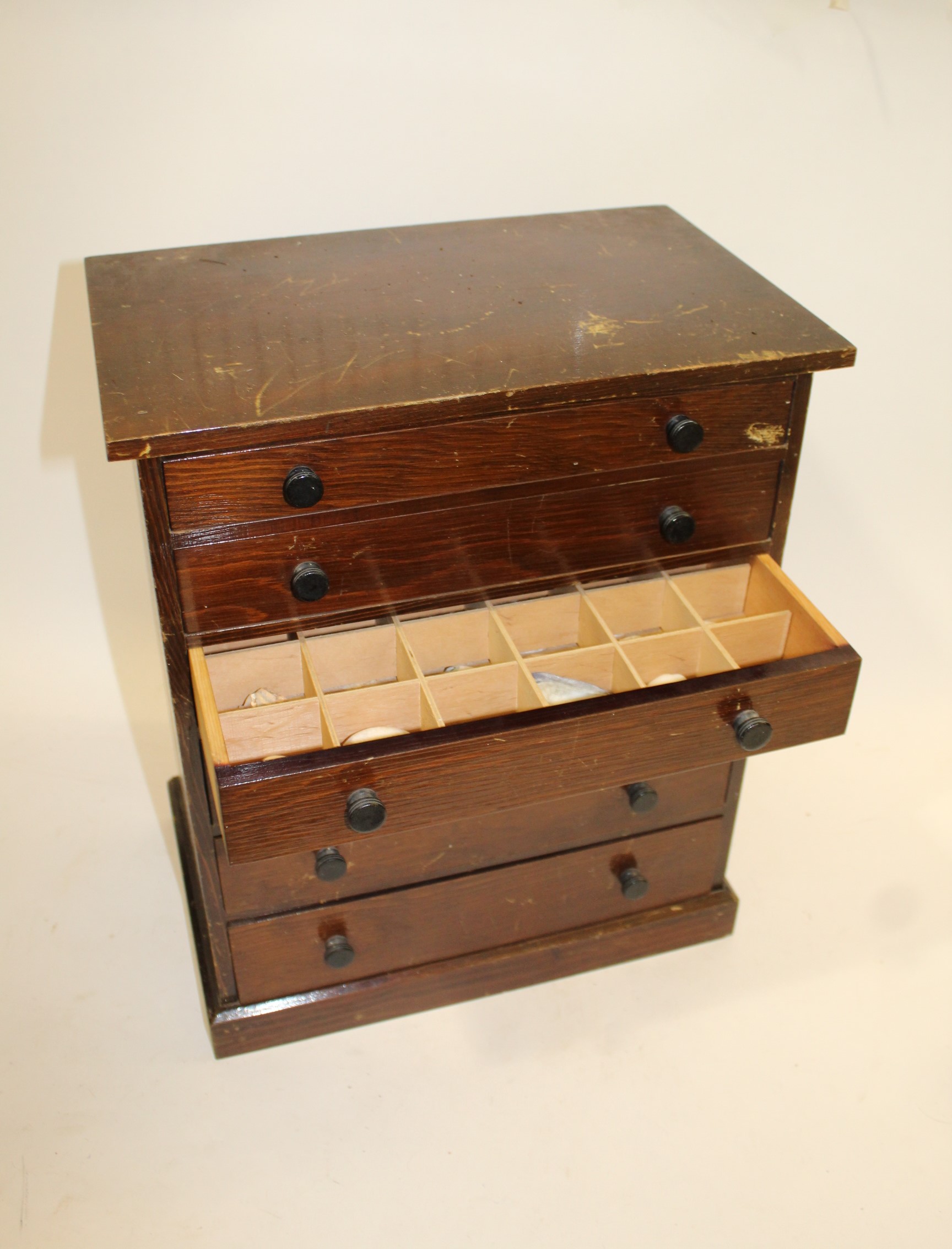 COLLECTORS CABINET - SEA SHELLS & FOSSILS a Victorian 6 drawer cabinet ...