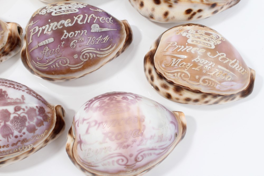 Rare set of ten Victorian carved cowrie shells - each cameo carved with ...