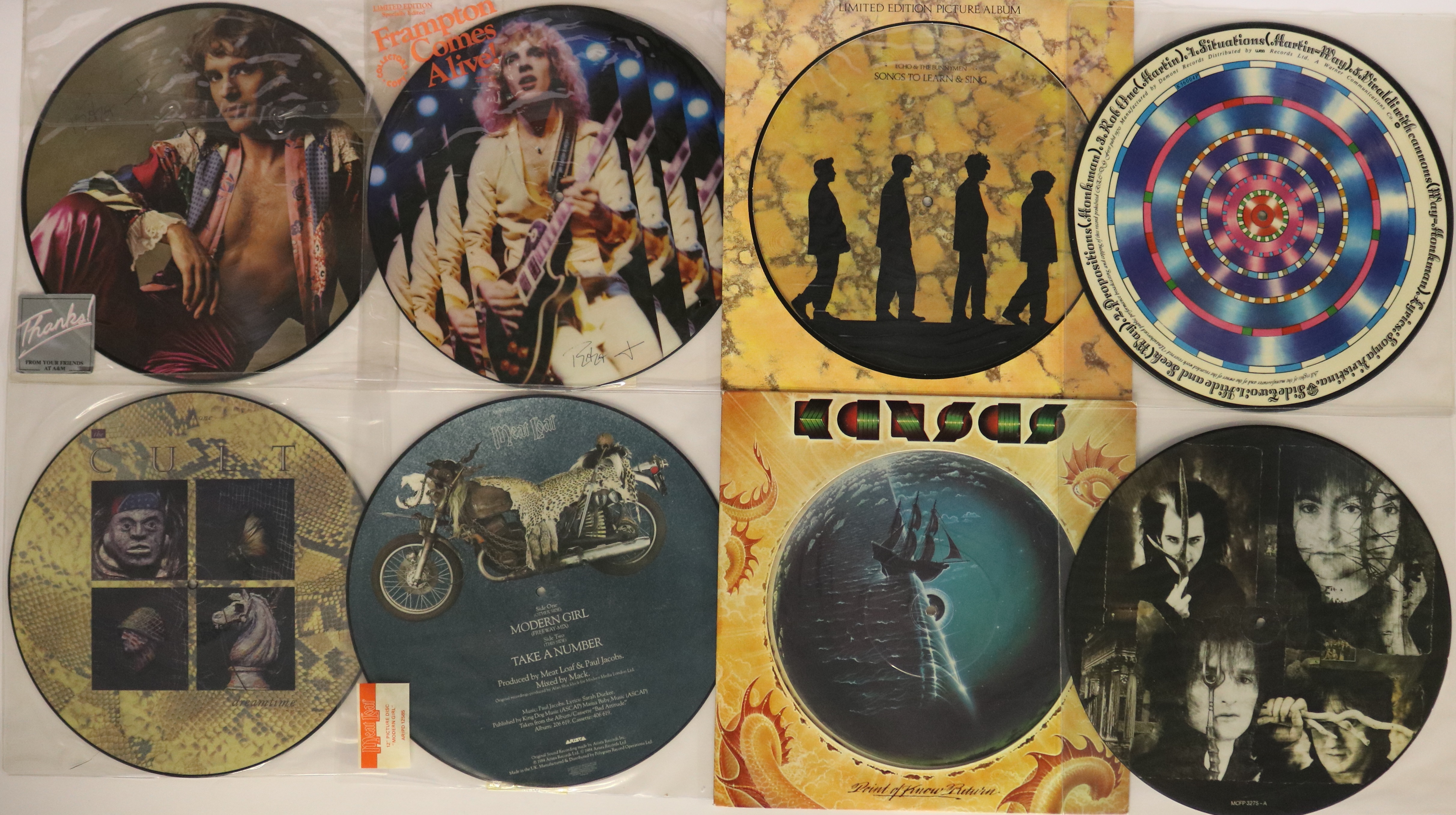 CLASSIC ROCK - PICTURE DISCS - Mega collection of 35 x LP/12"/shaped ...