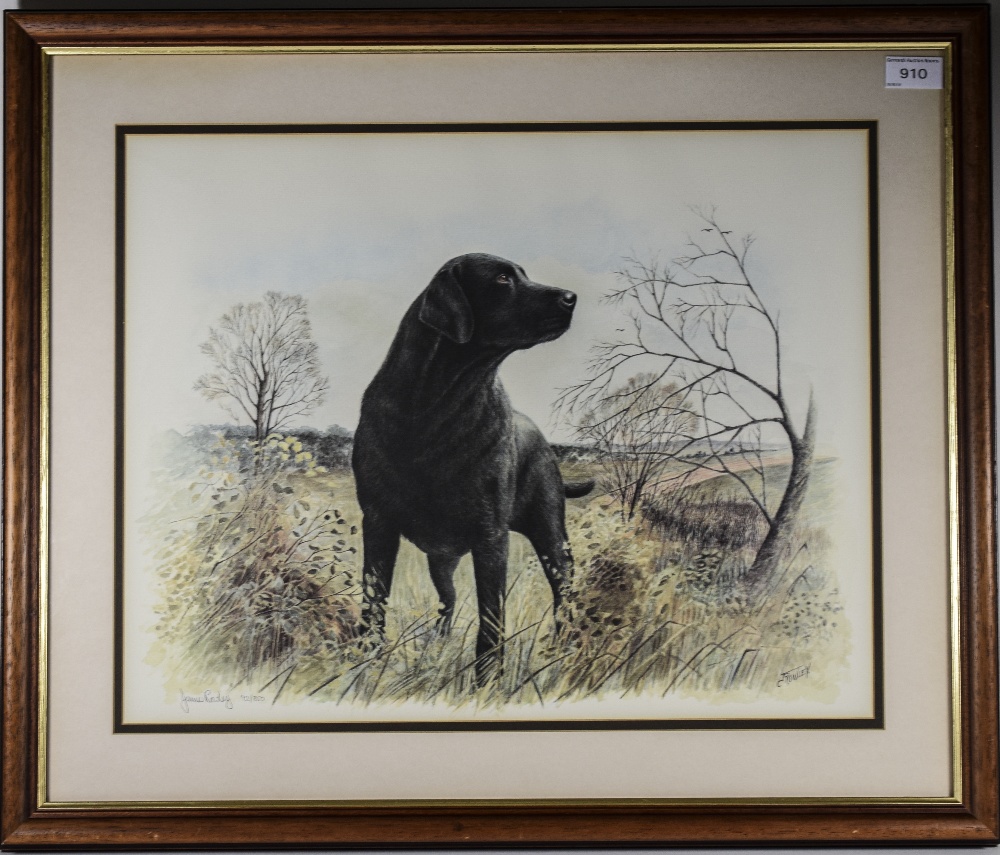 James Rowley Pencil Signed Limited Edition Coloured Print. Num 92 of ...