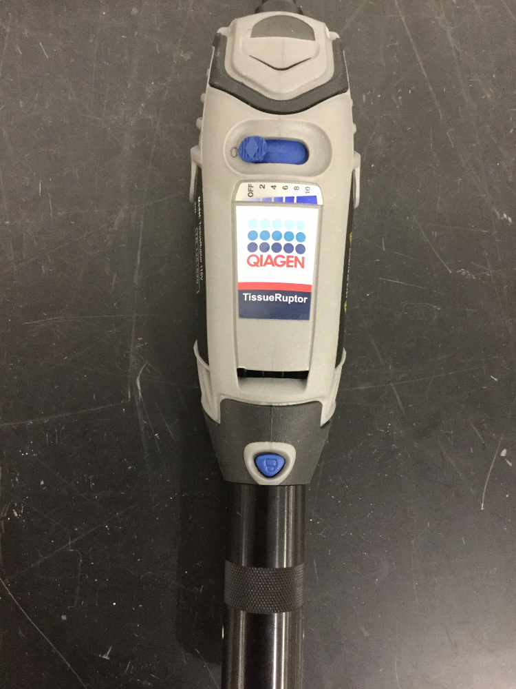 Qiagen Tissue Ruptor, Electrical: 100-120V, 50/60Hz, 1.15 Amps 5000 ...