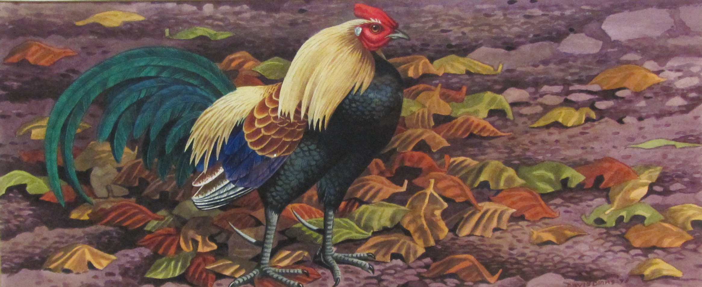 David Binns (British 1935-): 'Game Cock', watercolour signed and dated ...