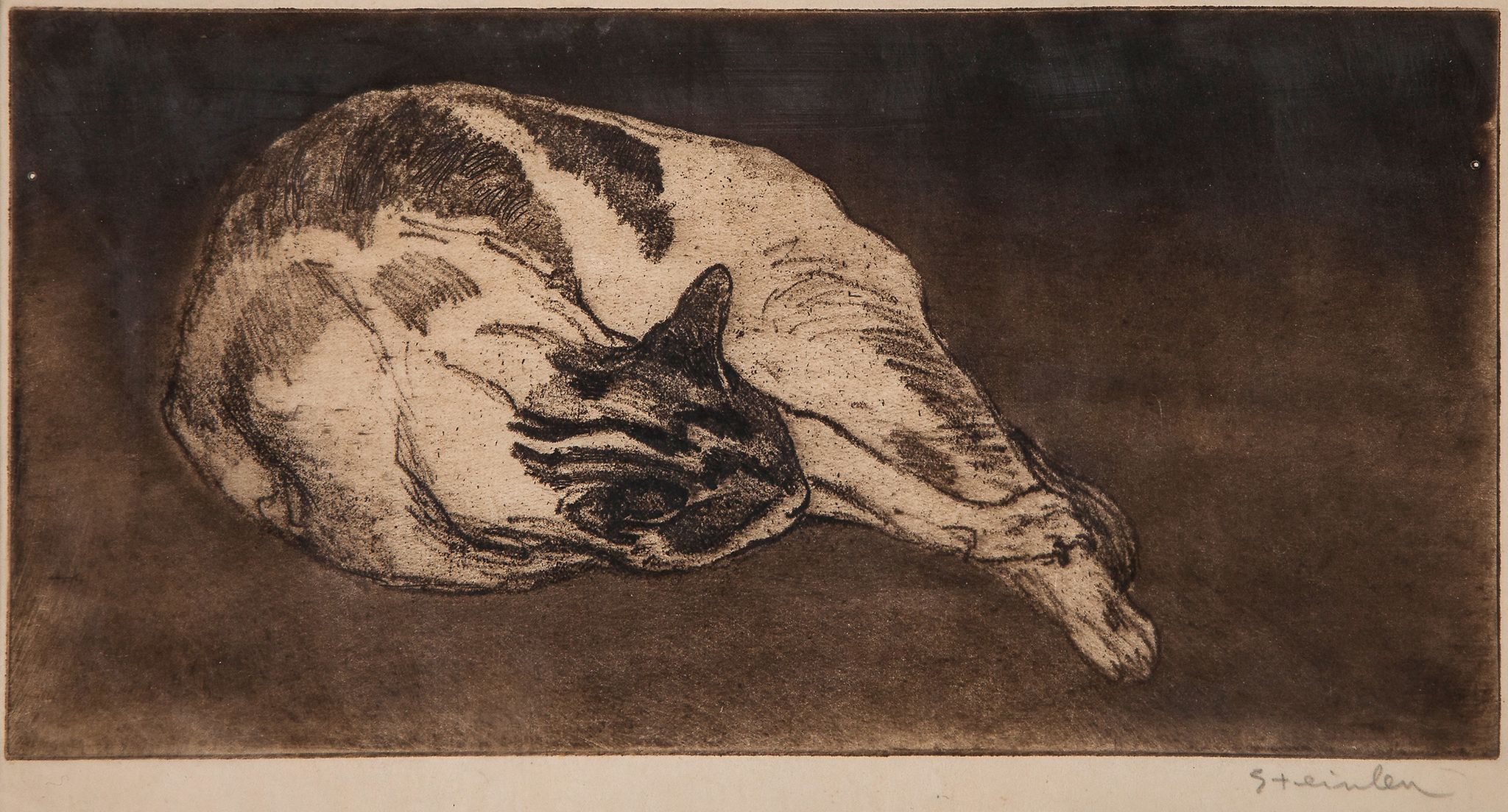 Steinlen (Théophile Alexandre, 1859-1923) - Chat couché sofa | Cats ...