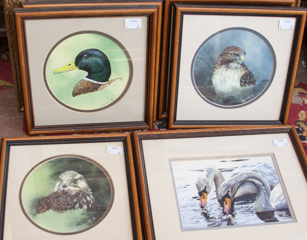 Seven Linda Wain prints of Birds, etc, including limited editions and ...