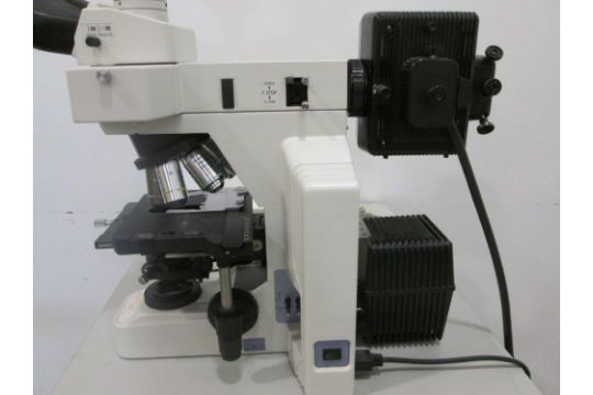 The Nikon Eclipse E600 is the benchmark for biological research ...