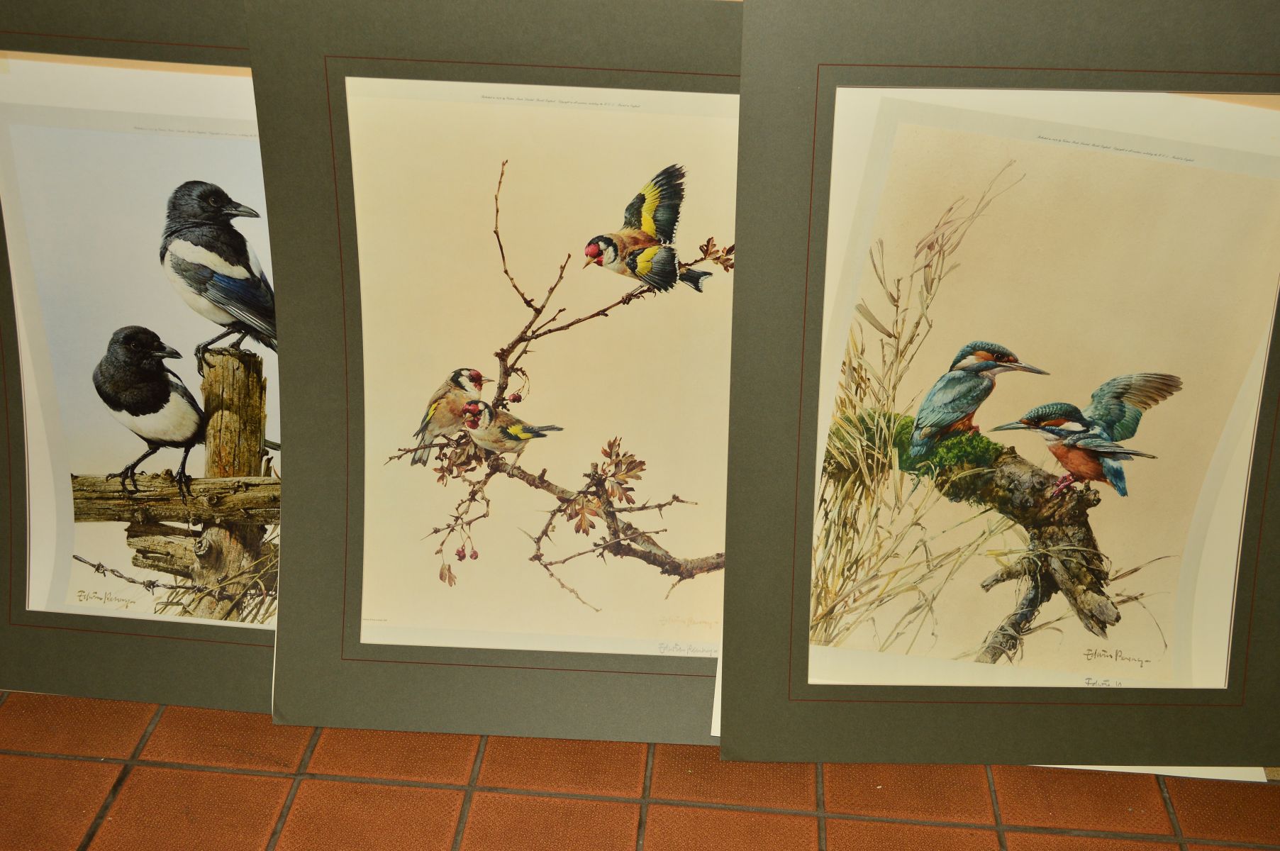 EDWIN PENNY (1930-2016), THREE LIMITED EDITION PRINTS OF BIRDS ...